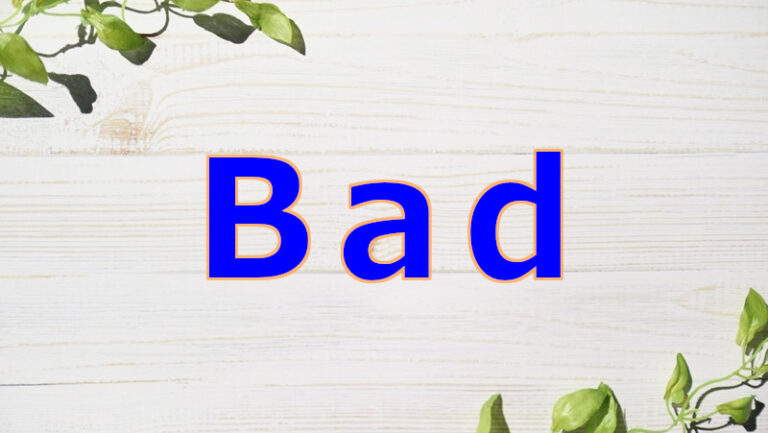 【評判どう？】タカラスタンダード リジャストの口コミを徹底調査！ | タカラスタンダードのショールーム